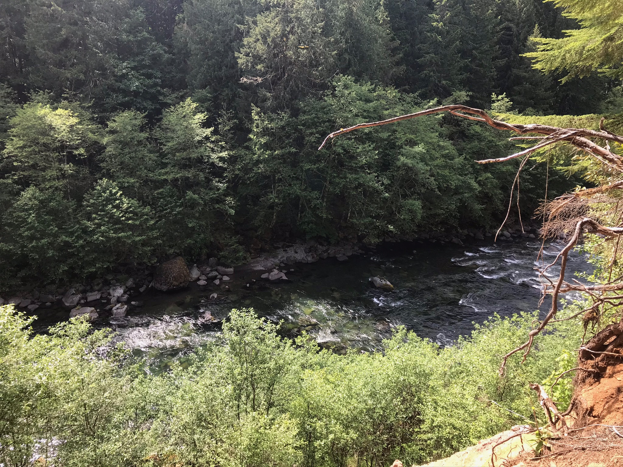 A tribute to Clackamas County | Dede's Books and blog